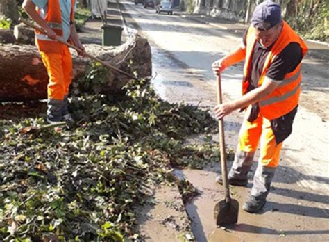 ЈП КОМУНАЛНА ХИГИЕНА СКОПЈЕ СО AktИВНОСТИ ЗА РАСЧИСТУВАЊЕ ПО ВЧЕРАШНИТЕ ВРНЕЖИ