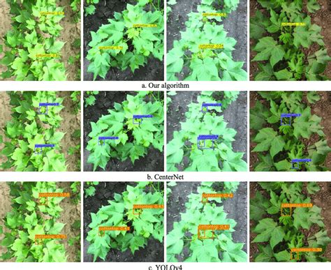 detection effect of multiple small targets by different algorithms