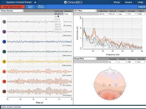 i wrote a tutorial on classifying motor imagery with javascript bci