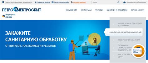 Личный кабинет «Петроэлектросбыт регистрация вход возможности личного кабинета