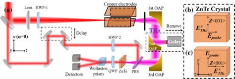 A Scheme Of The Experimental Setup Top View Hwp Half Wave Plate