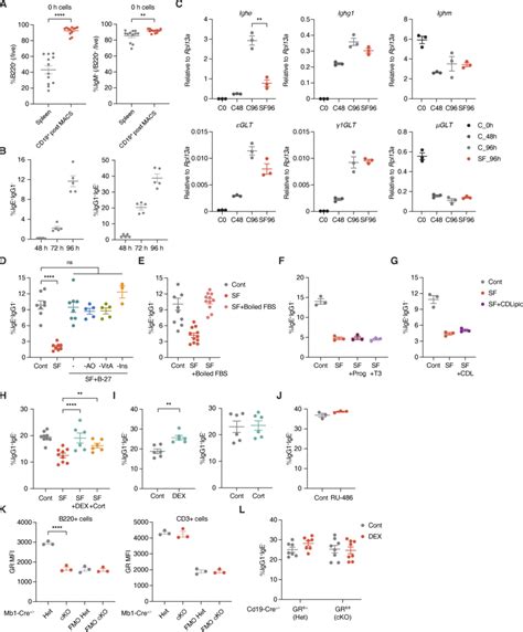 Igg1 Switching Is Nearly Unaffected By Glucocorticoids A Percentage