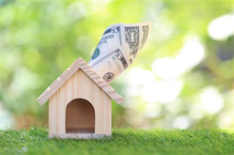 절약에 대 한 미래에 준비 사업 투자 및 부동산 자연 녹색 배경에 은행권과 모델 하우스 개념에 대한 스톡 사진 및 기타 이미지 개념 개발 경제 Istock