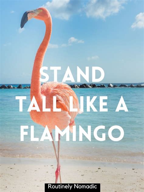 150 Best Bird Captions For That Flying Free Aesthetic Routinely Shares