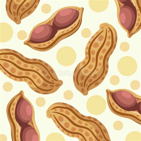 Opened Peanuts Stock Illustrations 32 Opened Peanuts Stock