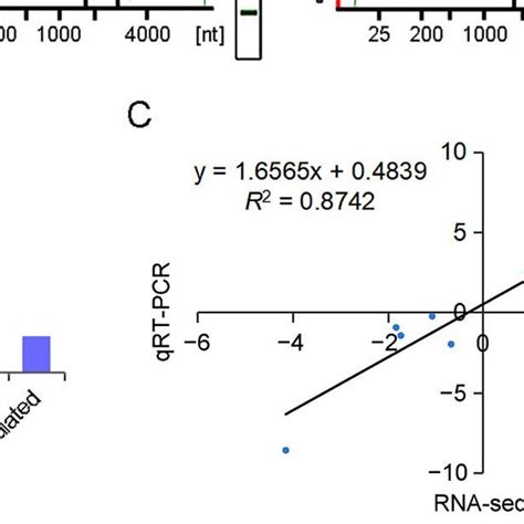 Comparison Of Rna Quality And Degs Between L And H Accessions A