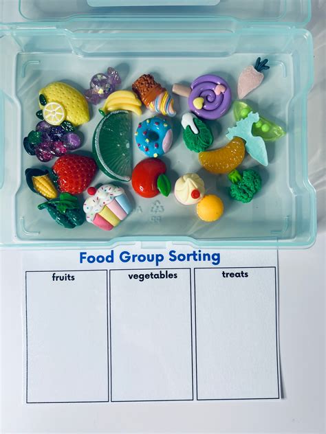 miniature food sorting kit sorting objects preschool sorting task bo