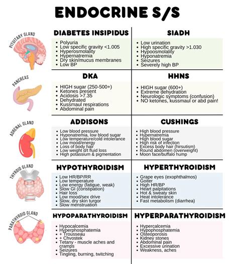 Endocrine System Diseases List