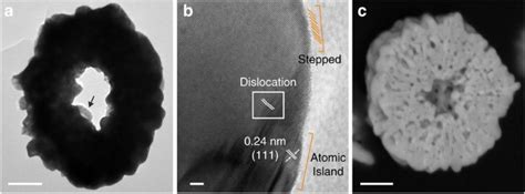 One Step Synthesis Of Zero Dimensional Hollow Nanoporous Gold