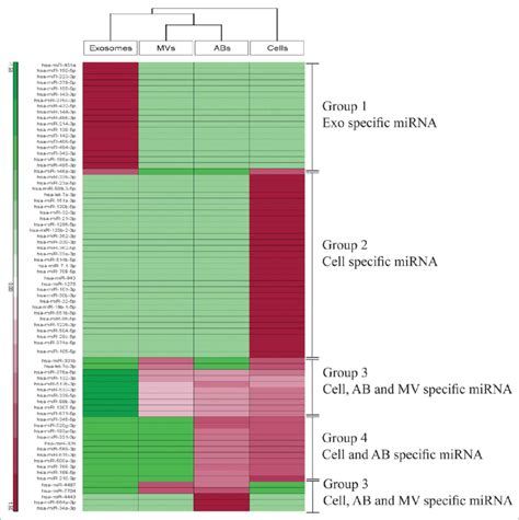 Clustering Of Uniquely Identified MiRNA And Their Association With Download Scientific Diagram