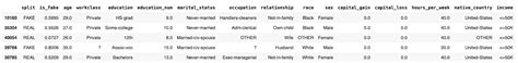 Build A Fake Vs Real” Ml Classifier Mostly Ai