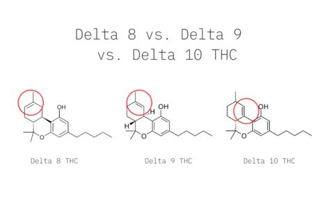 Delta 8 Vs Delta 9 Vs Delta 10 What S The Difference