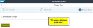 SAP HANA Cockpit Configuration Part SAP Basis World