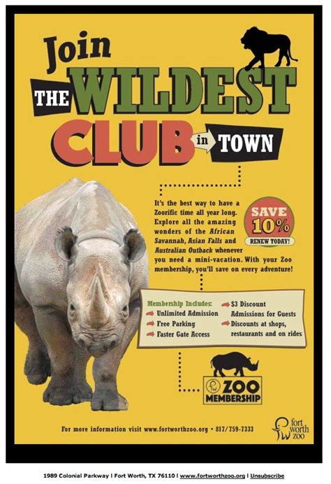 Coding Your Html Emails For Any Device Html Email Html Email