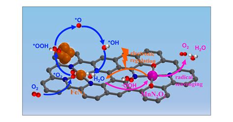 Mn Single Atom Tuning Fe N C Catalyst Enables Highly Efficient And