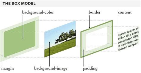 Css Padding Margin Border属性详解 Ruthless 博客园