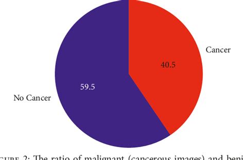 Figure 2 From A Novel Hybrid Deep Learning Model For Metastatic Cancer