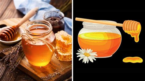 Nº1 La Mejor Miel De Abeja