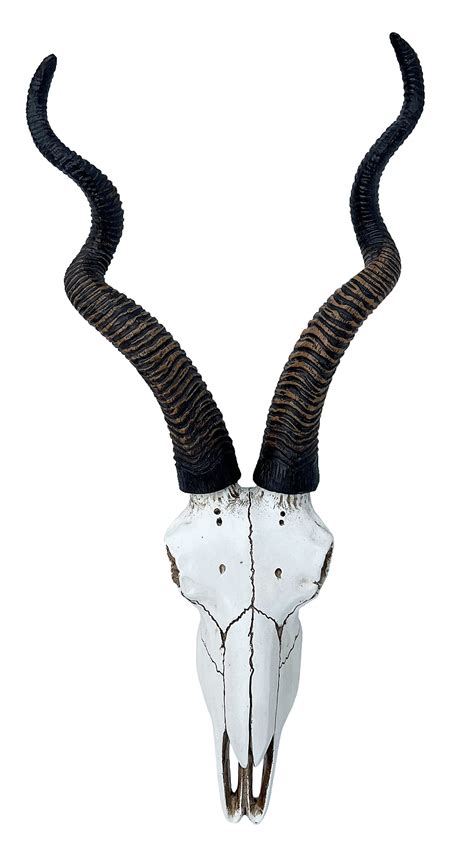 Kudu Horns Mount