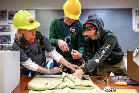 Photos Lansing Bwl Falcon Chicks Banded Named
