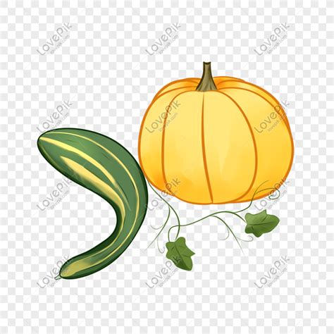 추수 감사절 야채 호박 노스 멜론 일러스트 레이션 Png 일러스트 무료 다운로드 Lovepik