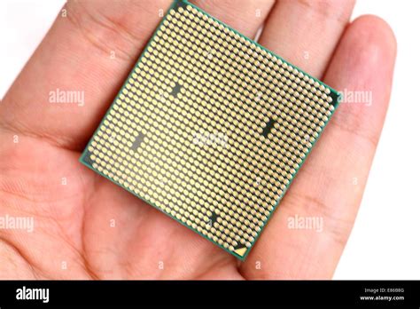Processor In The Hand Stock Photo Alamy