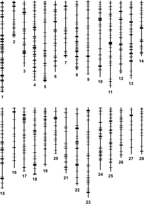 Physical Map Showing The Distribution Of 1029 Microarray Validated