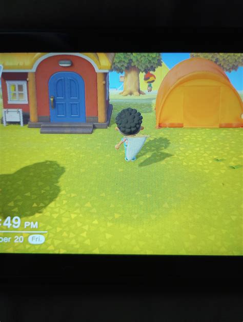 Is This A Glitch Ranimalcrossing