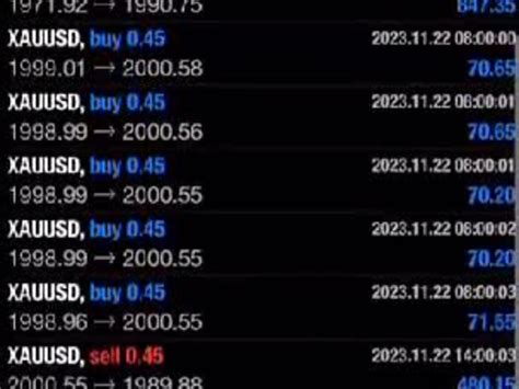 a well set up forex ea bot crypto trading bot mt4 mt5 expert advisor upwork