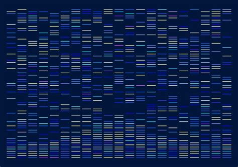 Big Genomic Data Visualization Royalty Free Vector Image