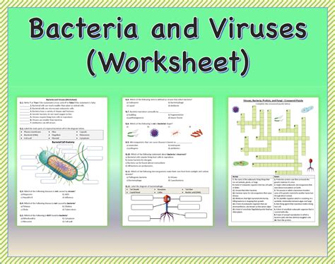 Free Bacteria Worksheet Download Free Bacteria Worksheet Png Images