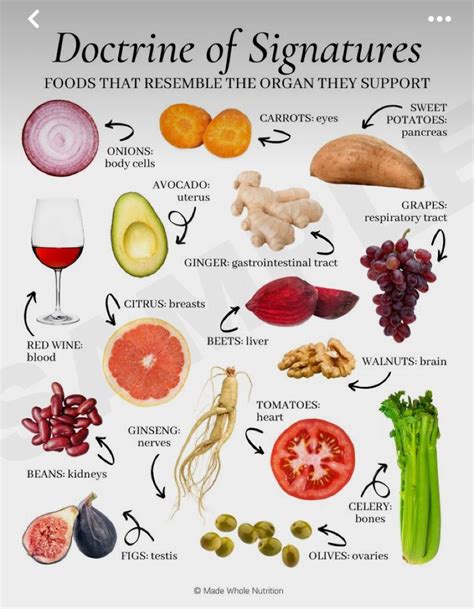 Best 12 15 Best Foods To Balance Hormones In Females Artofit