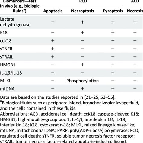 Evaluating Rcd And Acd In Vitro With Specific Rcd Biomarkers Download Table