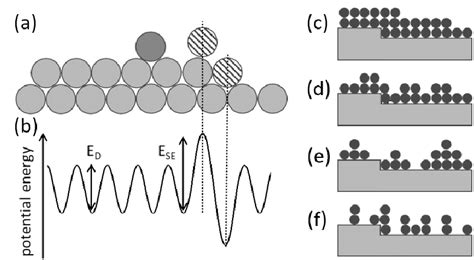 2 A Adatom On Top Of A Terrace Dark Gray Circle Striped Positions Download Scientific