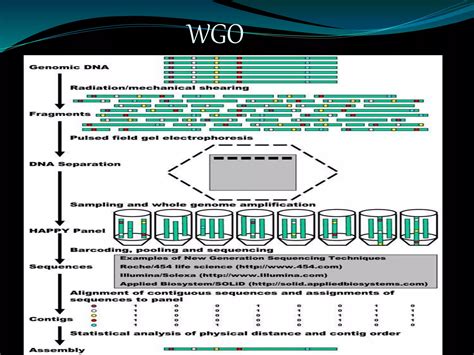 Whole Genome Sequence Pptx