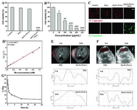 A Cell Viability Of Cells After Different Treatments P