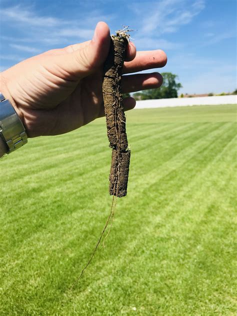 Soil Testing How To Create An Effective Fertiliser Plan Turfcare Specialists