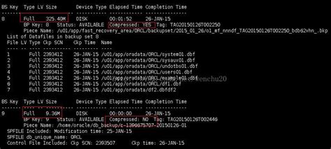 oracle 11g rman备份恢复 nocatalog rman nocatalog恢复测试 csdn博客