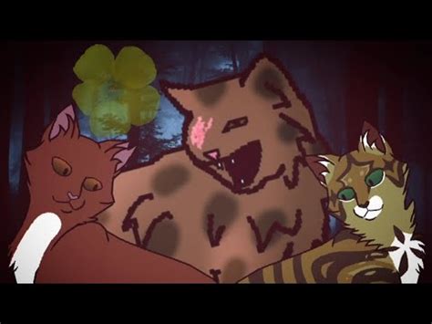 Коты воители: Сверкающая звезда - YouTube