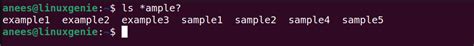 Bash Globbing Explained With Real Life Use Cases Linux Genie