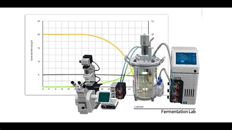 Labster Virtual Lab Fermentation Simulation Youtube