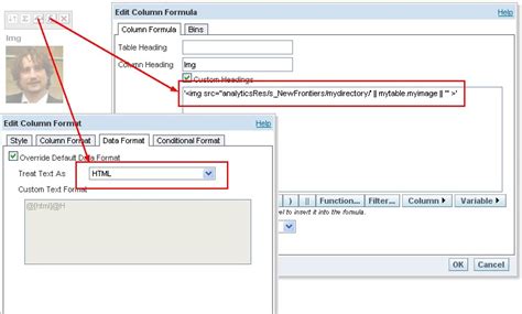 Obiee Where And How To Call An Image Picture Obips Datacadamia Data And Co
