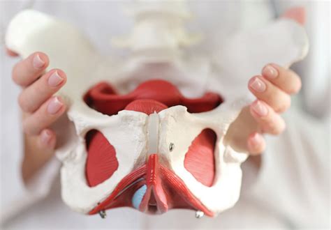 Painful Sex Isnt Normal—our Pelvic Floor Physical Therapist Shares All Plus 5 Faqs Mitchell Painful Sex Isnt Normal—our Pelvic Floor Physical Therapist Shares All Plus 5 Faqs Mitchell