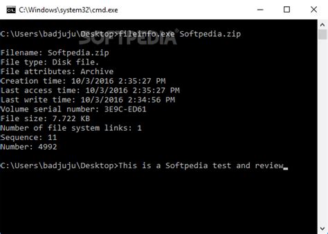fileinfo download softpedia