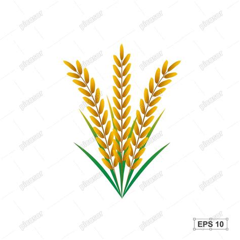 وکتور دسته خوشه برنج طلایی پیکاسور