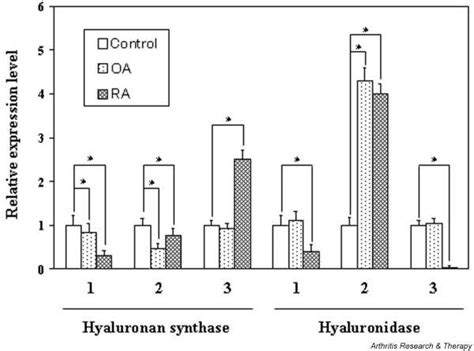 Relative Expression Levels Of The Messages For Hyaluronan Synthase 1