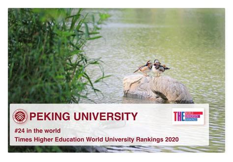 peking university on linkedin peking