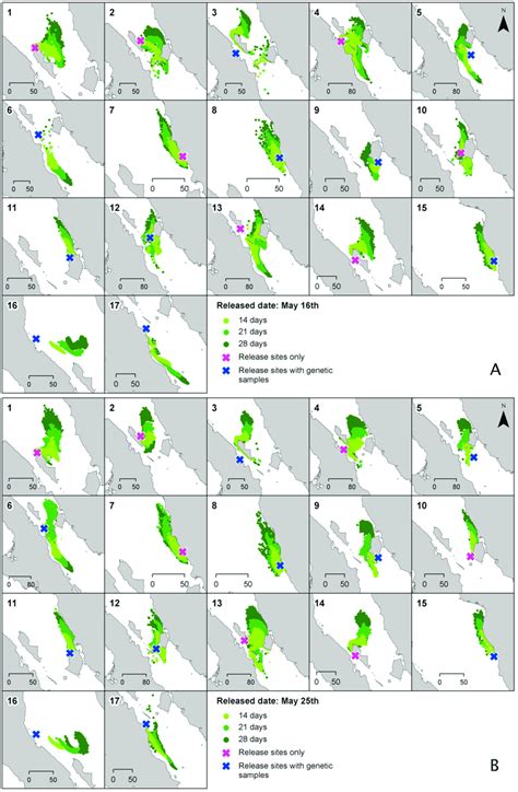 Larval Dispersal From Each Spawning Site Maps Showing The Spatial Download Scientific Diagram