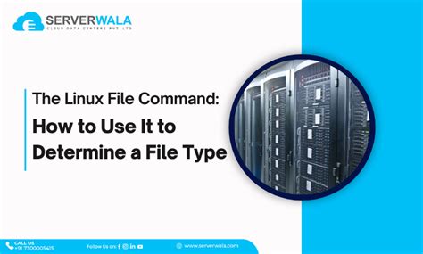 The Linux File Command How To Use It To Determine A File Type