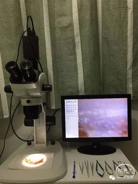 显微吻合技术训练——鸡翅篇 脑医汇